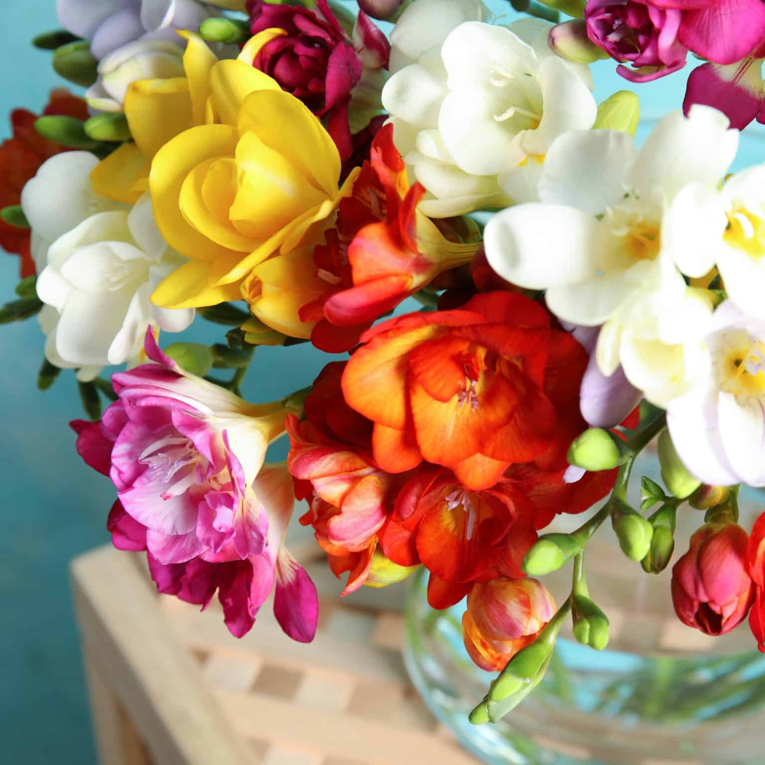 Bring A Spring Garden Straight Into Your Kitchen - Zeidler's Flowers