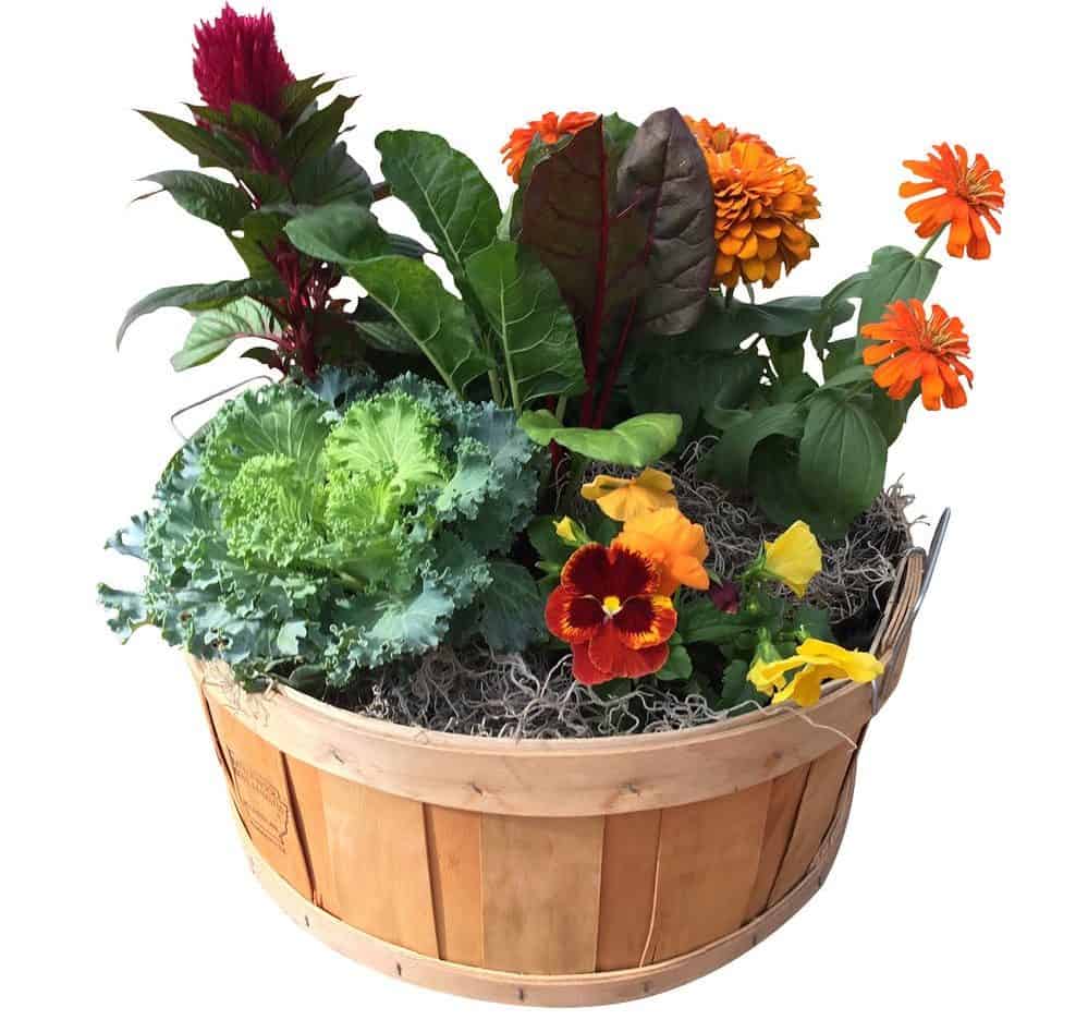 5 Fun and Easy Ways to Decorate Your Front Porch for Fall - Zeidler's ...