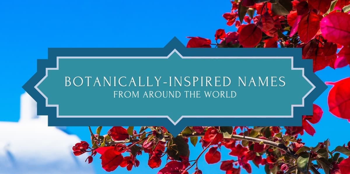 Unique and Creative Botanical Names for Your Baby or Pet - Zeidler's ...